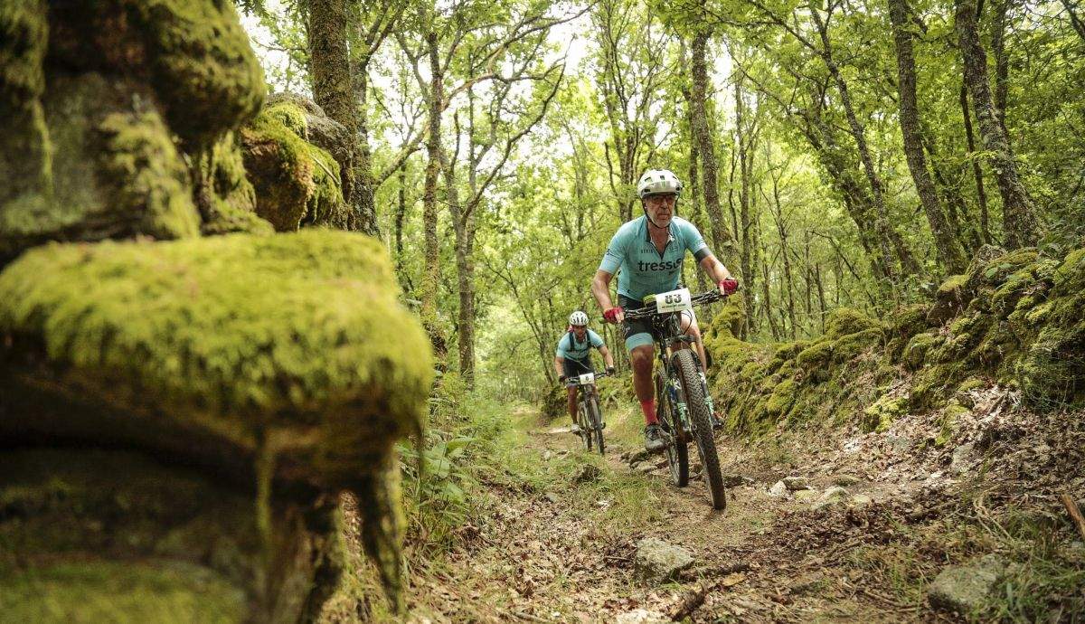 La mejor forma de hacer en equipo el Camino de Santiago d...