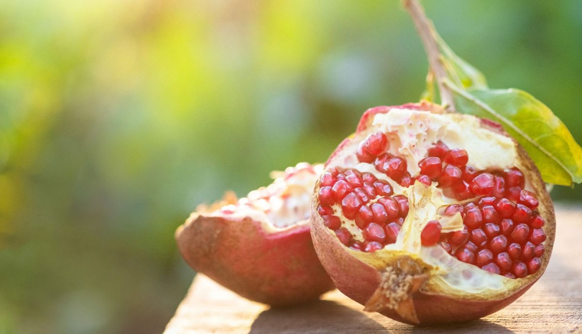 Granada, la fruta de la longevidad