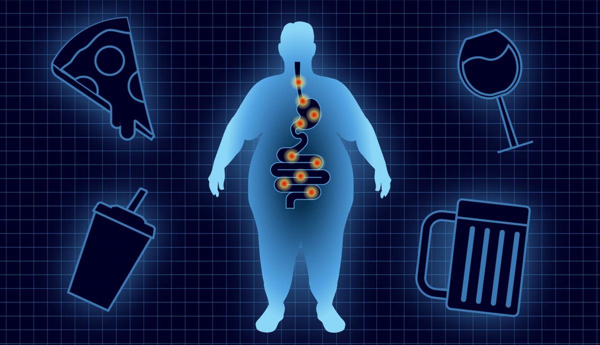 Turicibacter, la bacteria intestinal que podría ayudar a...